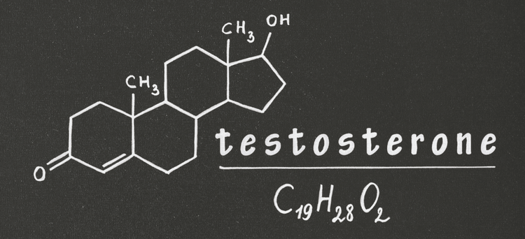 Testosterone and Your Athletic Performance: How It Affects Strength and ...